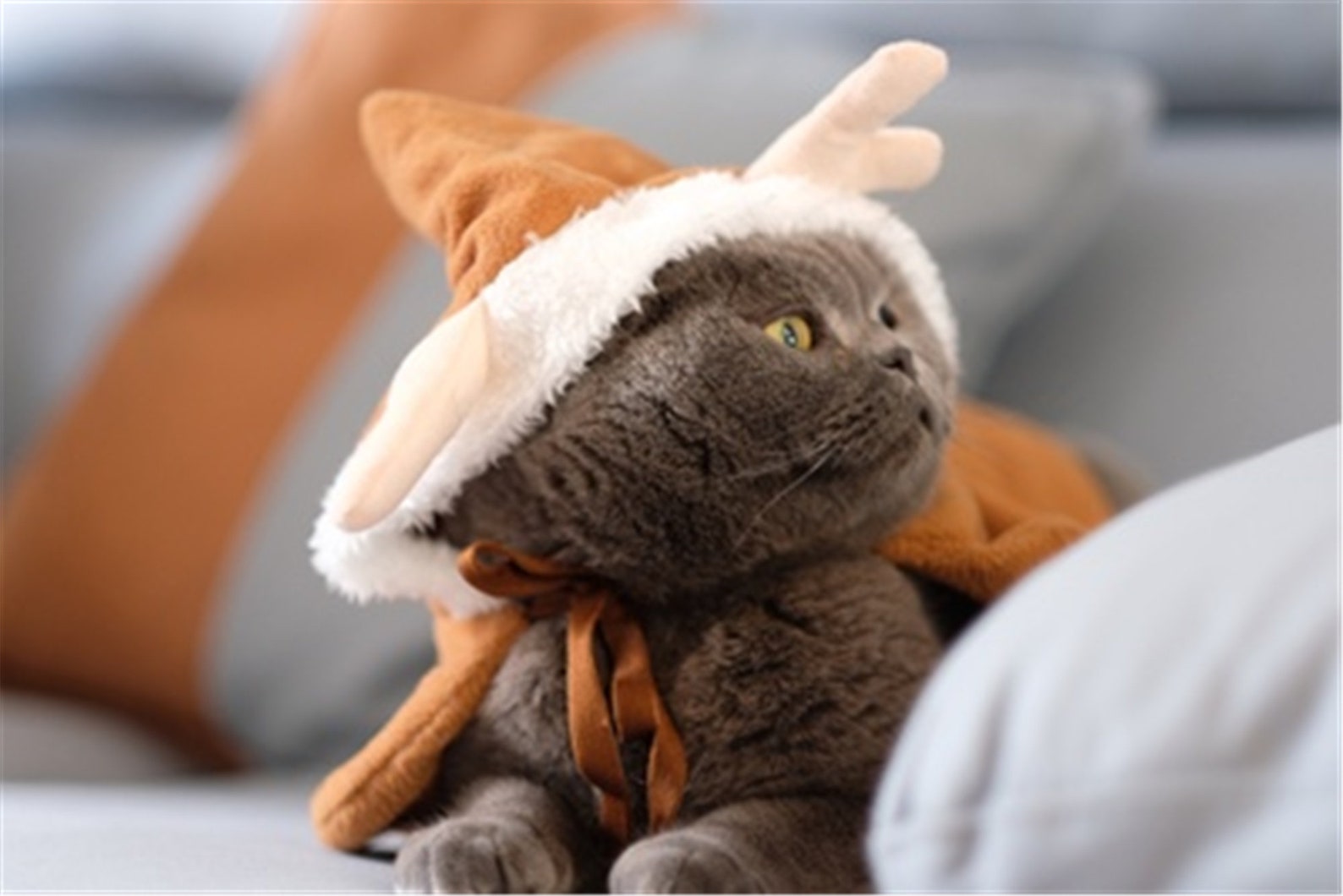 Elk Polar-fleece Cute Cat Cloak Christmas Pet Costume Cloak - Etsy