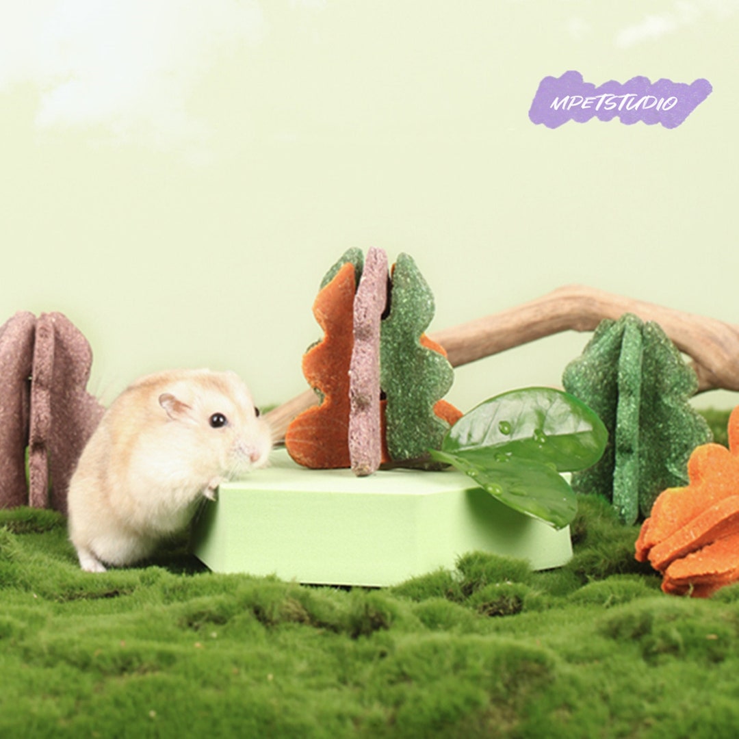 Hamster Chew Toy Tree Set Hamster Snack Hamster Cage Decor - Etsy