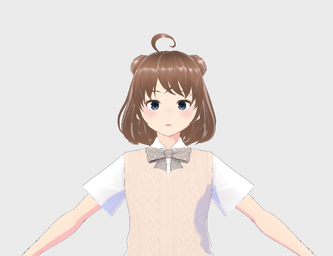 Vroid Character, Vstreamer, Vtuber, Stream Characters Anime - Etsy