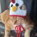 Chicken Hat for Cats and Dogs, Crochet Chicken Hats for Pets, Funny ...