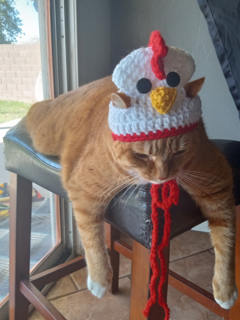 Chicken Hat for Cats and Dogs, Crochet Chicken Hats for Pets, Funny ...
