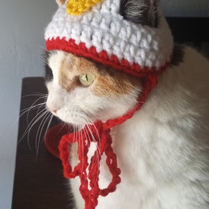 Chicken Hat for Cats and Dogs, Crochet Chicken Hats for Pets, Funny ...