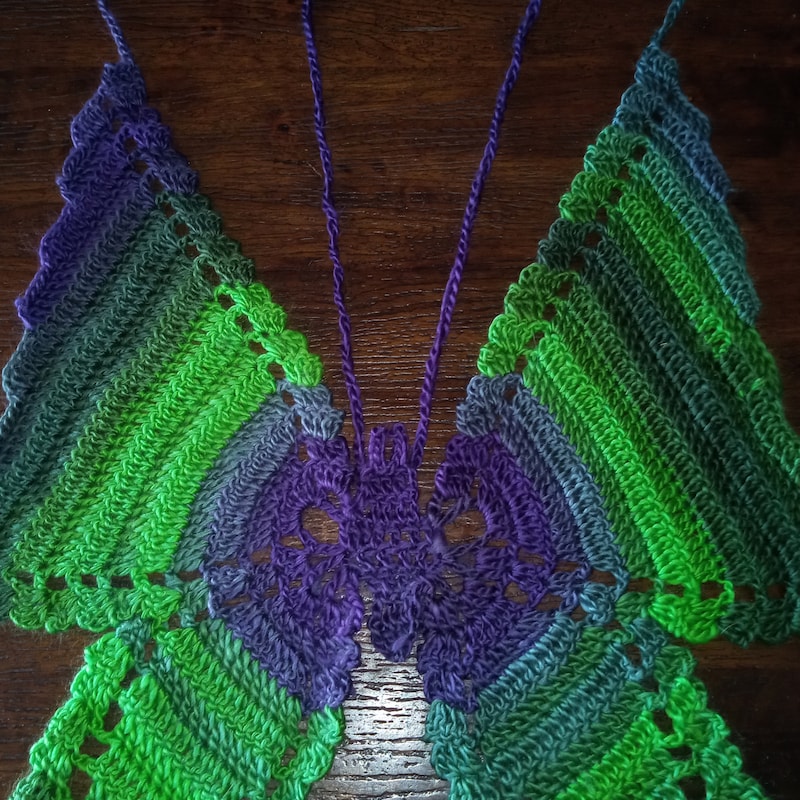 Crochet Butterfly Top - Etsy