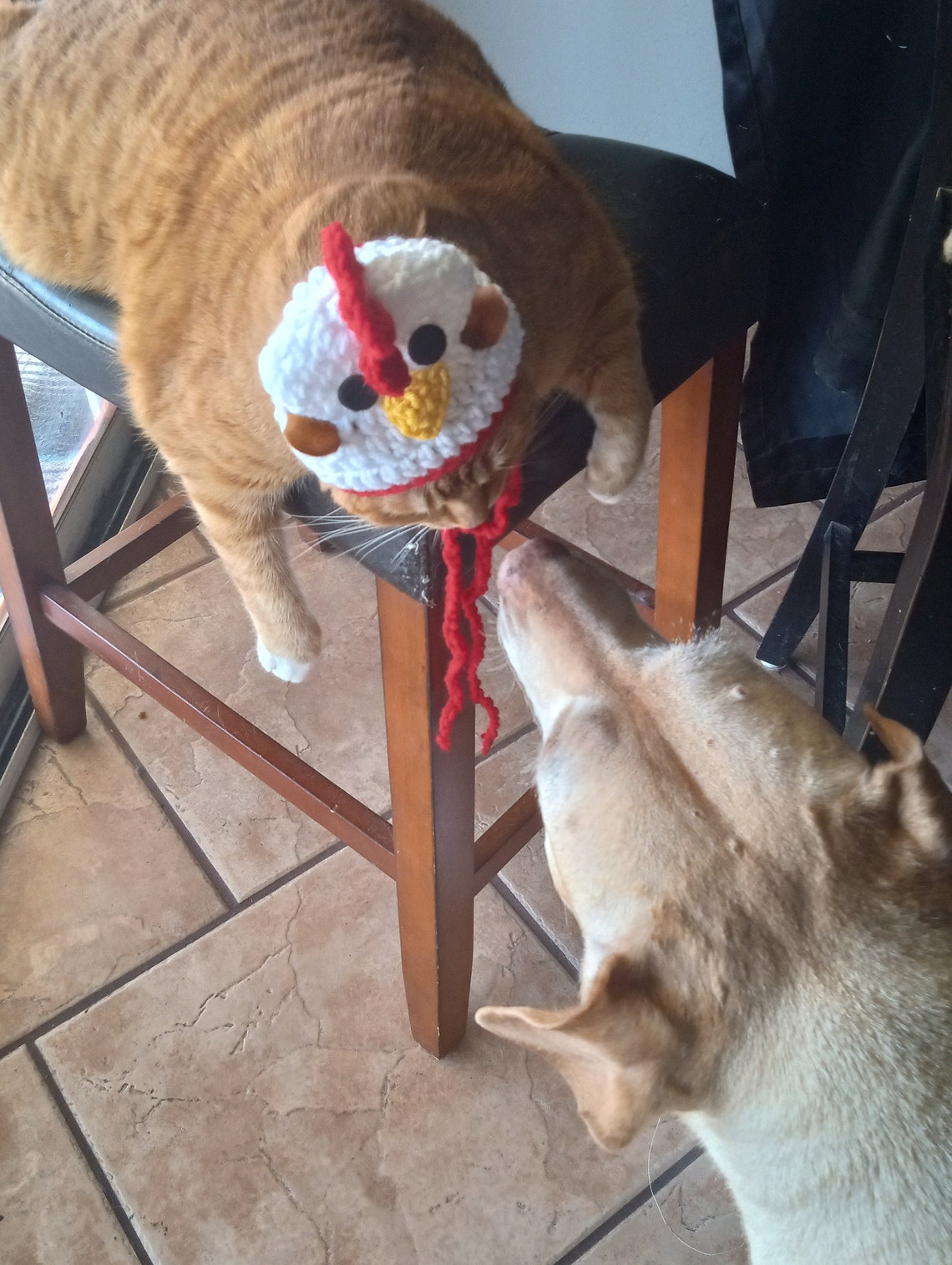 Chicken Hat for Cats and Dogs, Crochet Chicken Hats for Pets, Funny ...