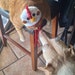 Chicken Hat for Cats and Dogs, Crochet Chicken Hats for Pets, Funny ...