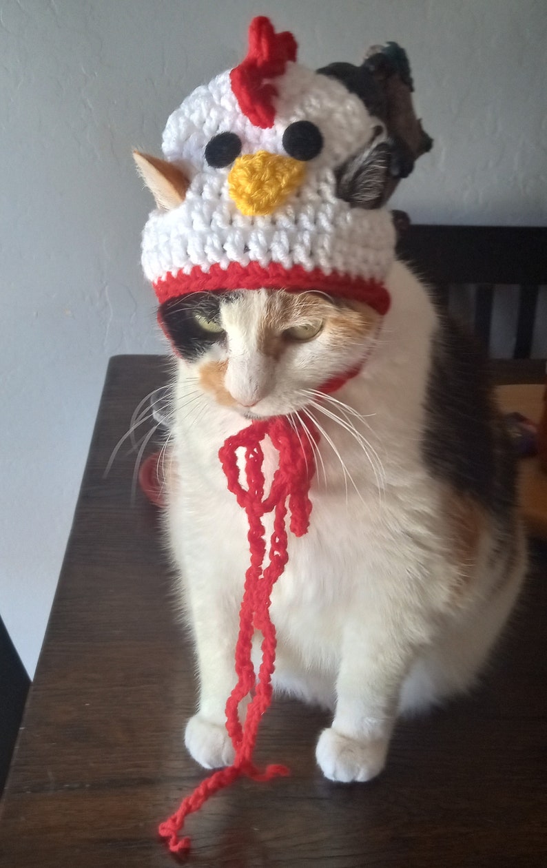 Chicken Hat for Cats and Dogs, Crochet Chicken Hats for Pets, Funny ...
