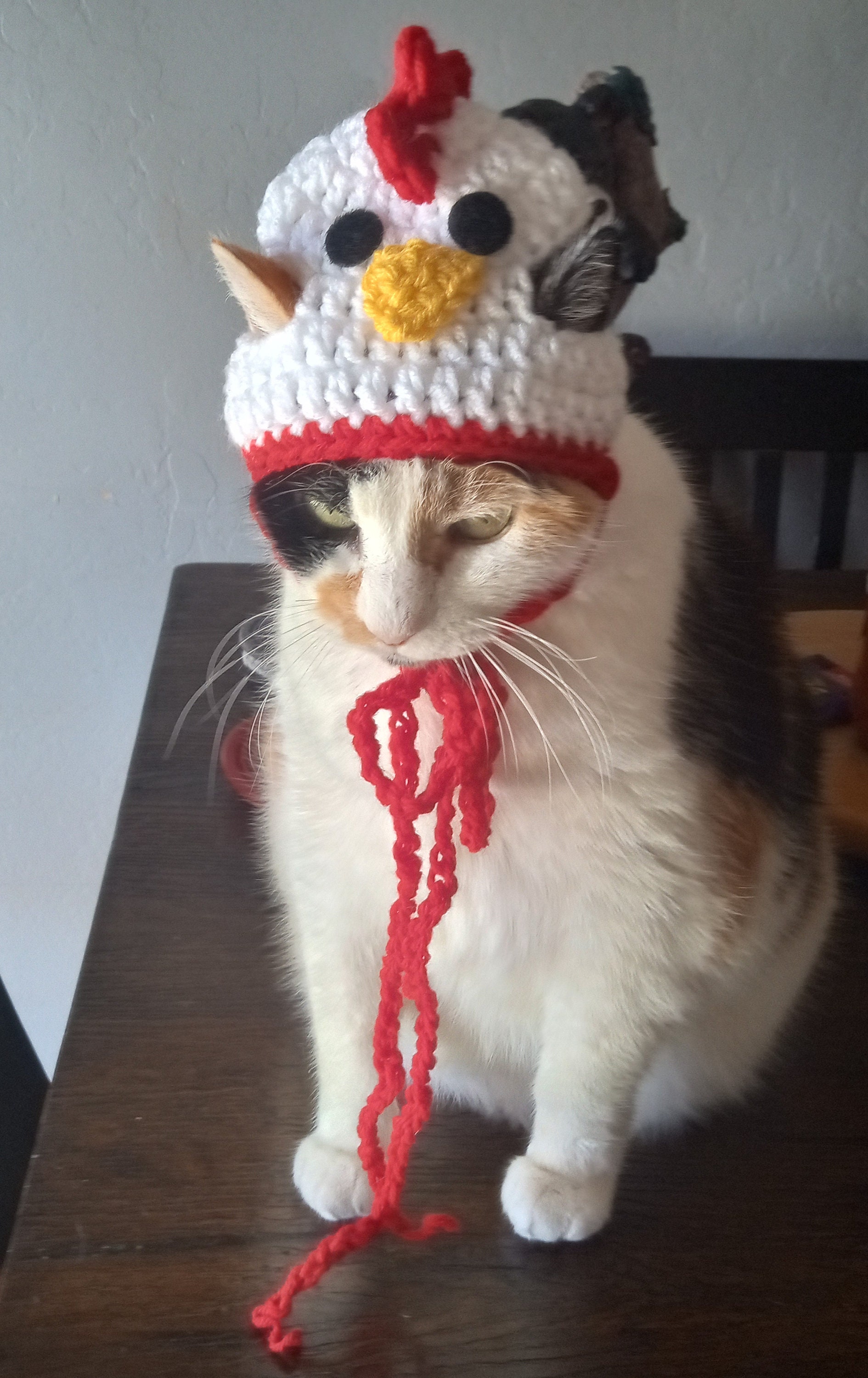 Chicken Hat for Cats and Dogs, Crochet Chicken Hats for Pets, Funny ...