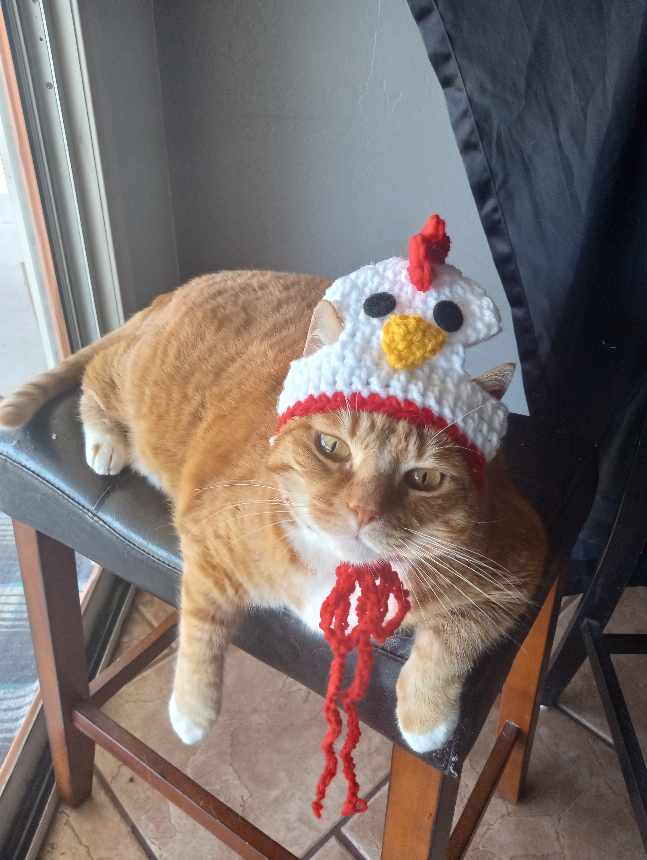 Chicken Hat for Cats and Dogs, Crochet Chicken Hats for Pets, Funny ...