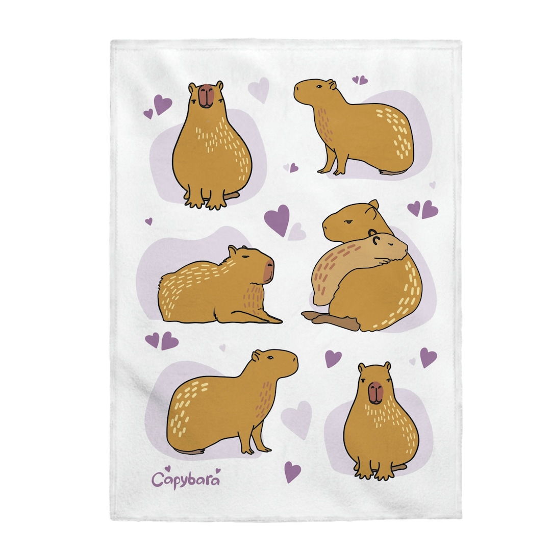 Capybara Plush Blanket, Capybaras Blanket Throw for Couch Sofa Bed ...