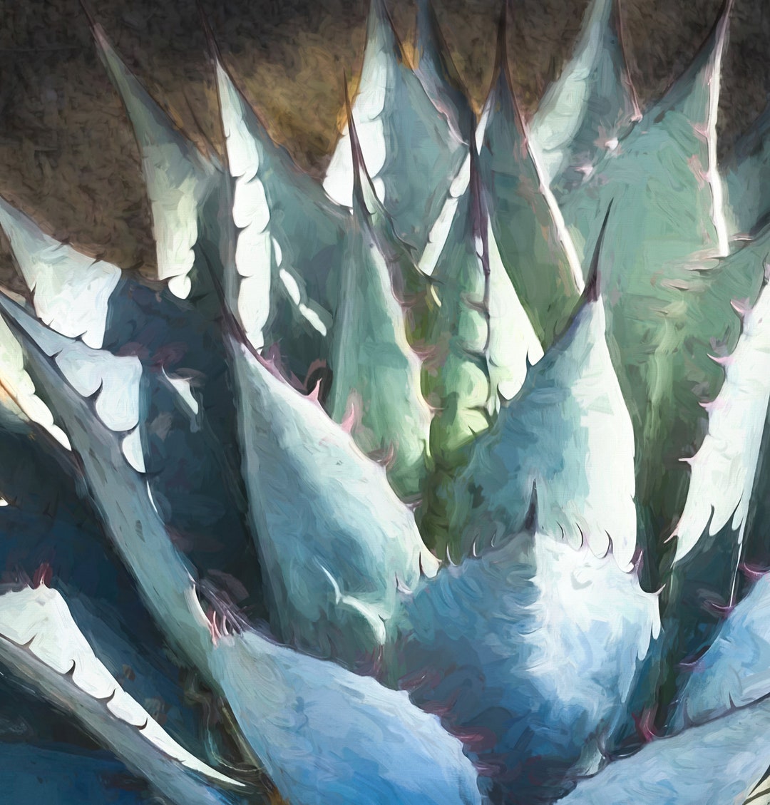 Blue Agave Abstract Art - Gallery Wrap Black Sided Square Canvas Print ...