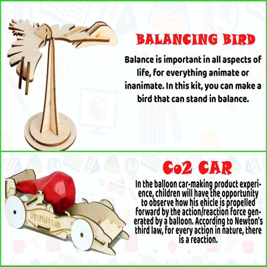 3D STEM DIY Kit: Balancing Bird & CO2 Car - Educational Puzzle Toy - Etsy