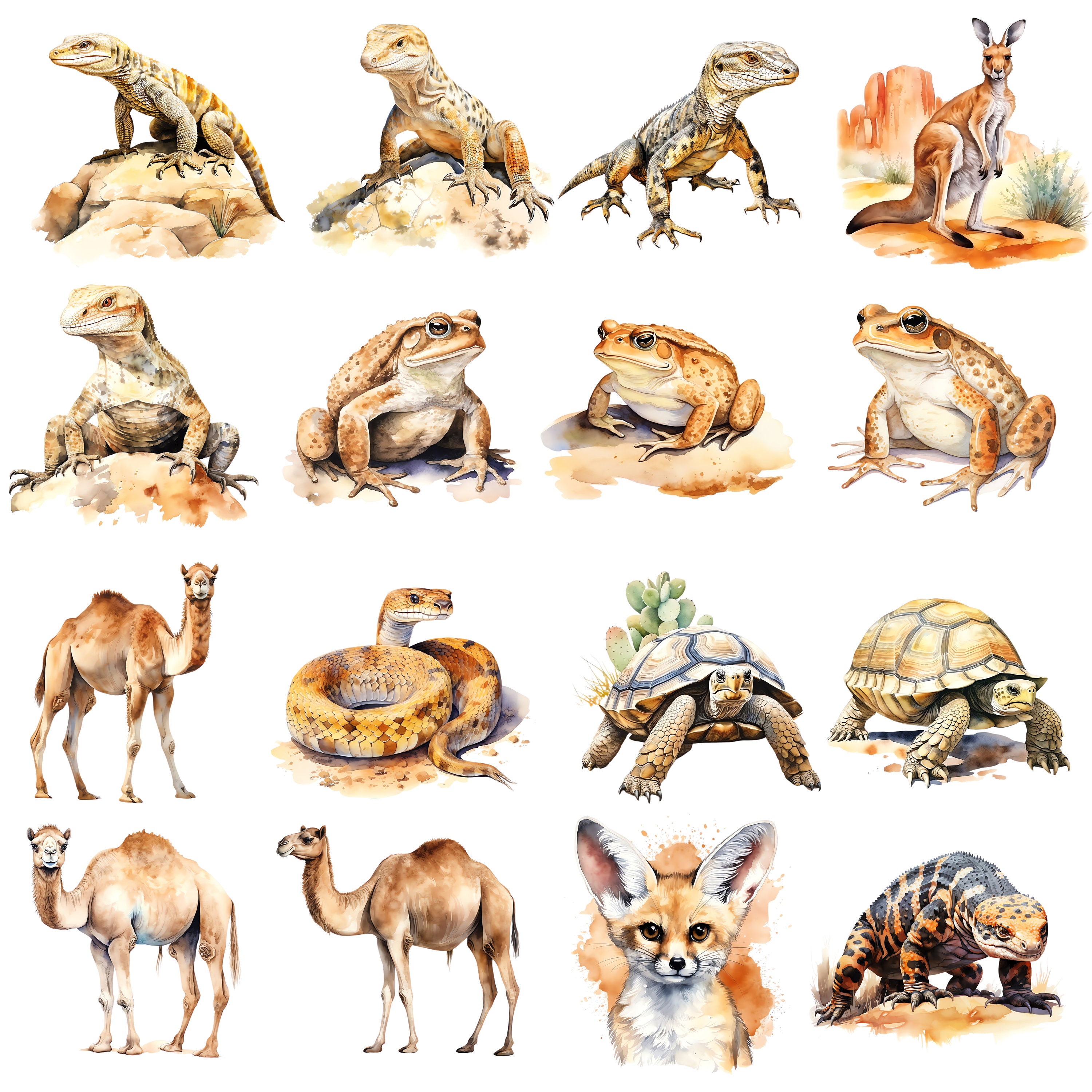 Desert Animals Clipart Bundle, 60 PNG Transparent Background, Digital ...