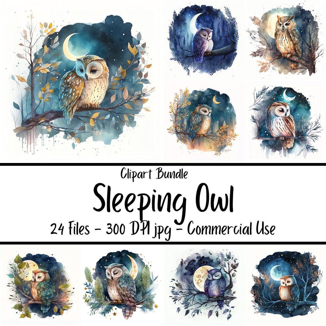 Sleeping Owl Clipart Bundle 24 JPG 300DPI de haute qualité - Etsy France