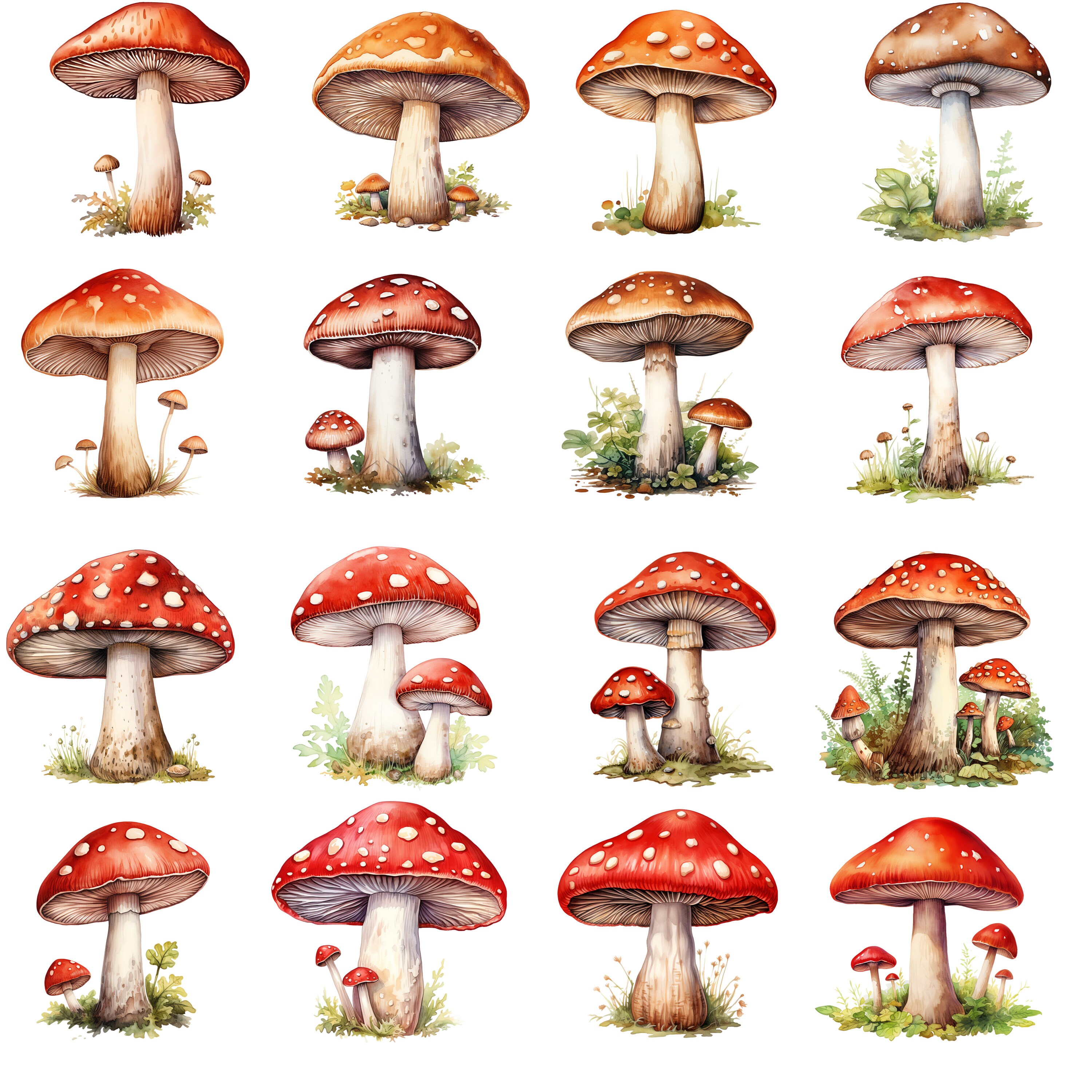 Cute Mushrooms Clipart Bundle 60 PNG Transparent Background - Etsy