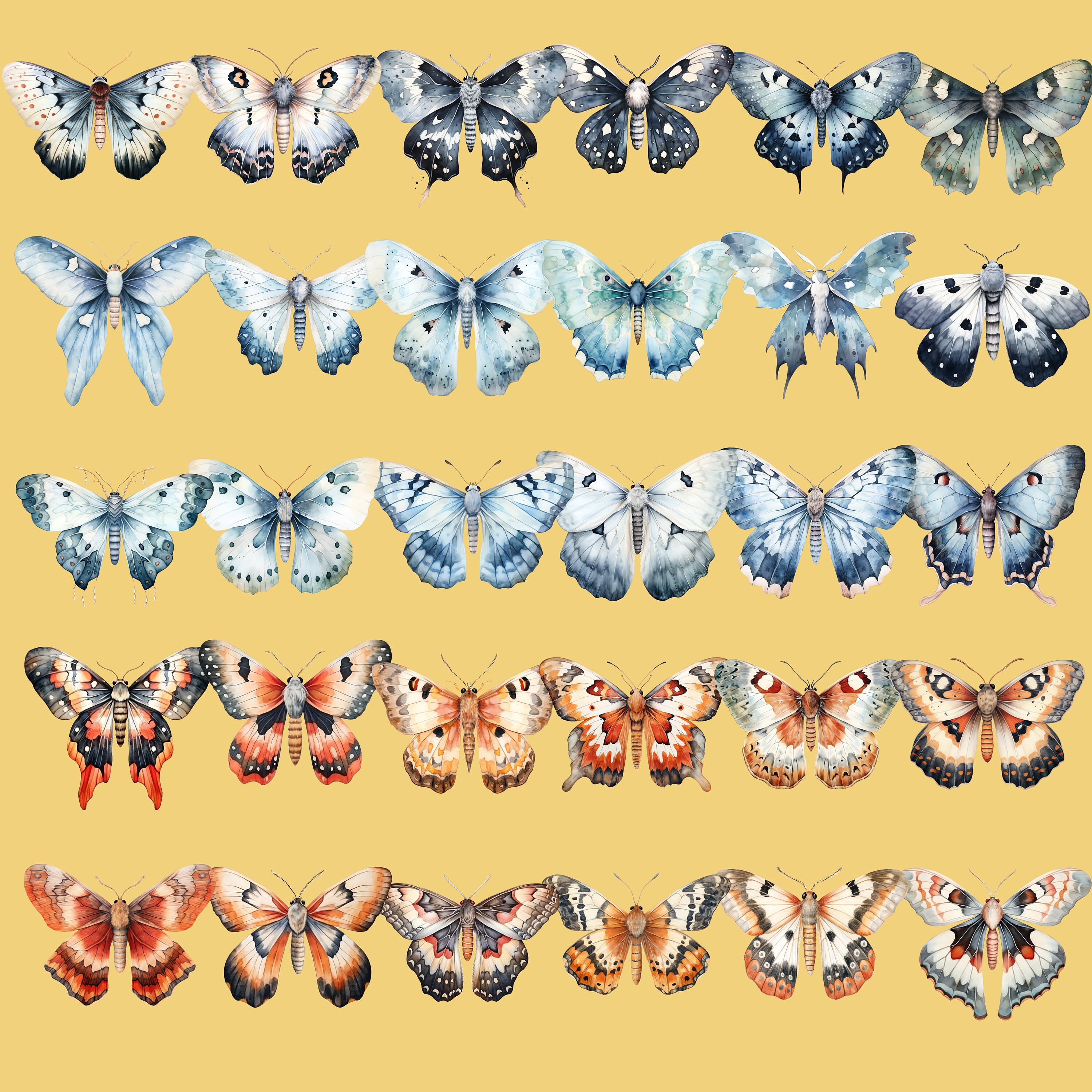 Moth Watercolor Clipart Bundle 120 PNG Steampunk Moth, Goth Moth ...