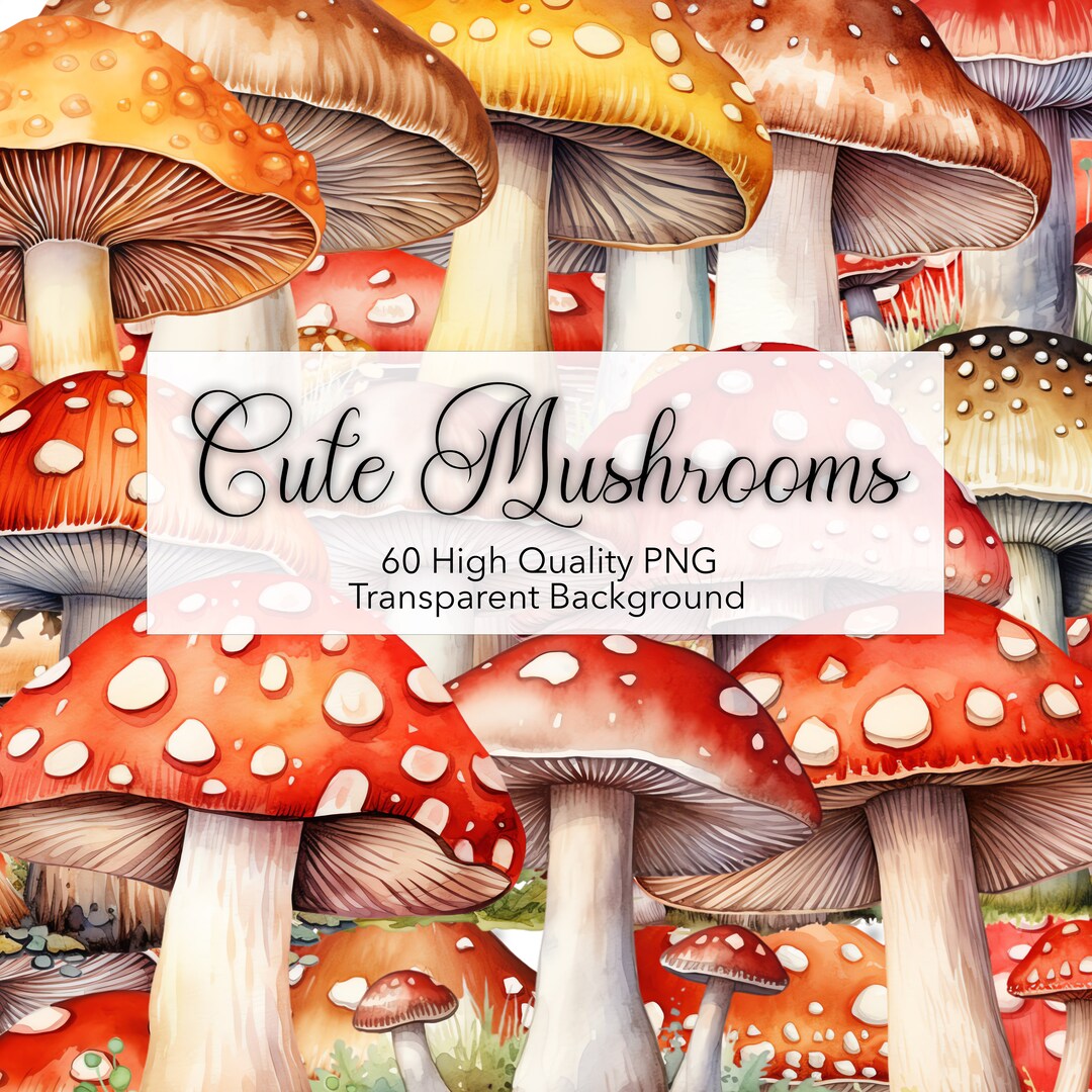 Cute Mushrooms Clipart Bundle 60 PNG Transparent Background - Etsy