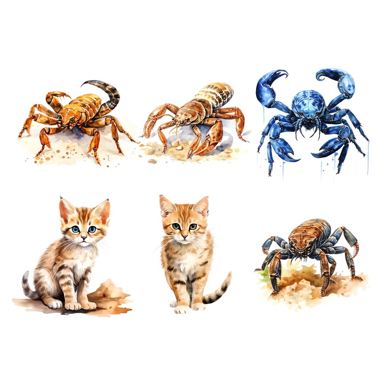 Desert Animals Clipart Bundle, 60 PNG Transparent Background, Digital ...