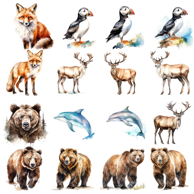 Alaska Animals Clipart Bundle, 60 PNG Transparent Background, Digital ...