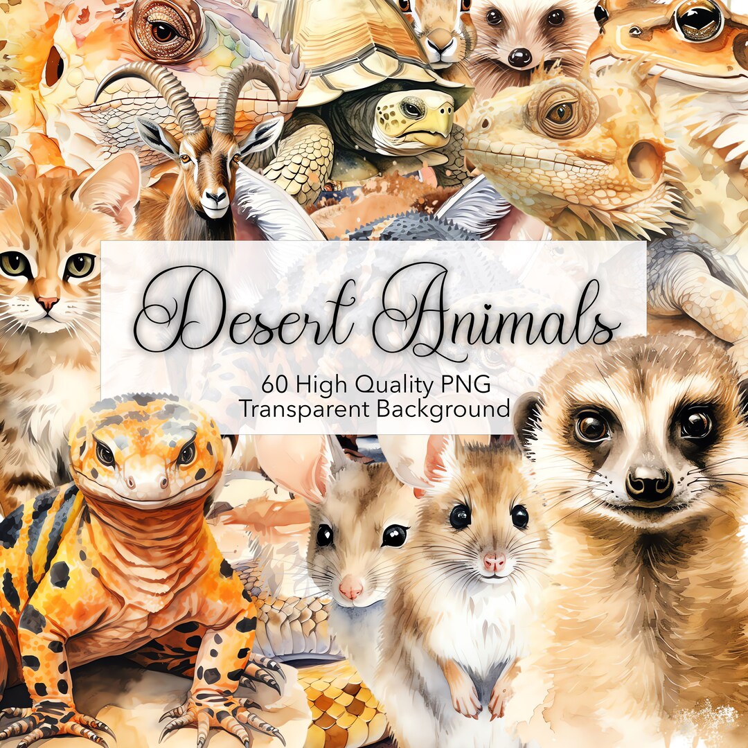 Desert Animals Clipart Bundle, 60 PNG Transparent Background, Digital ...