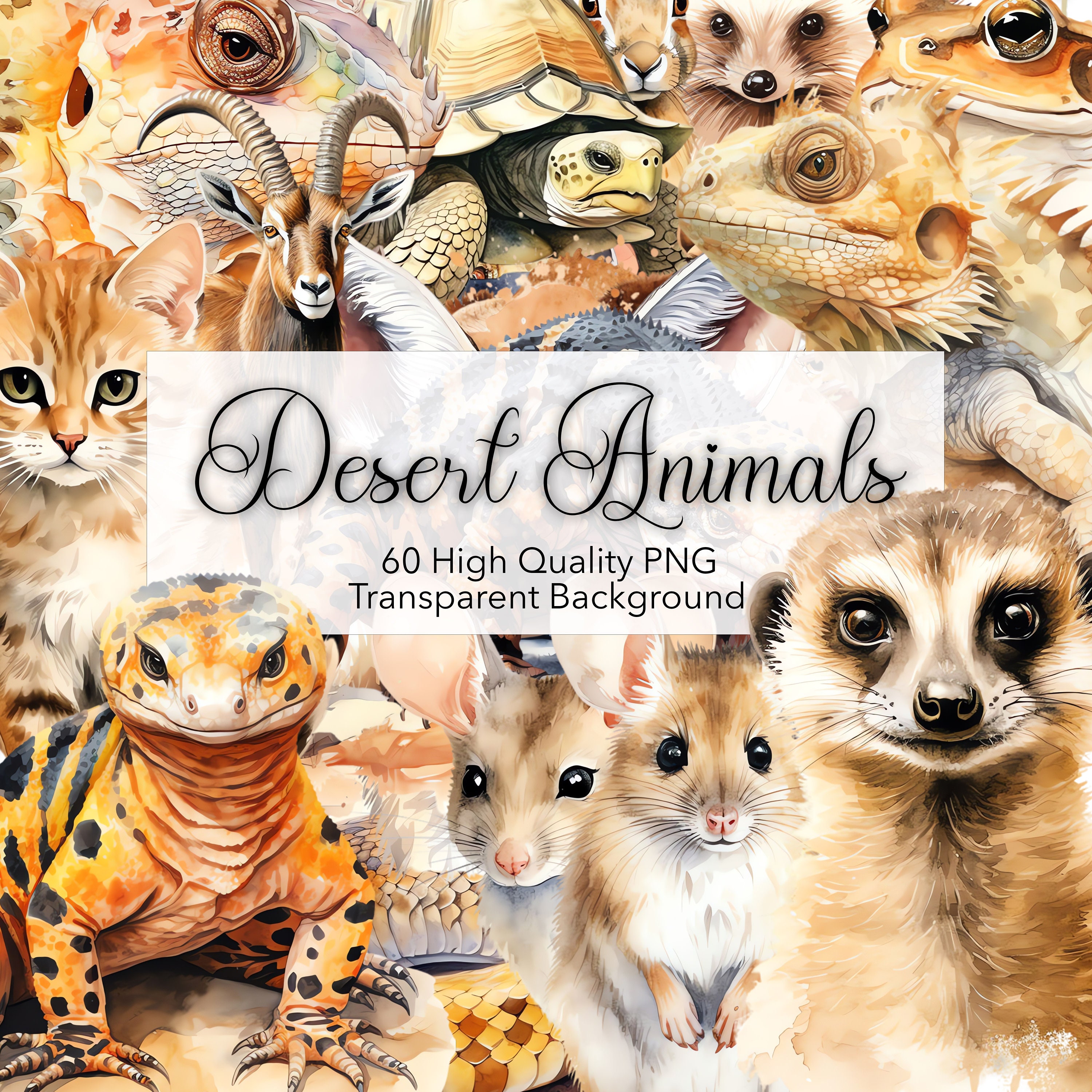 Desert Animals Clipart Bundle, 60 PNG Transparent Background, Digital ...