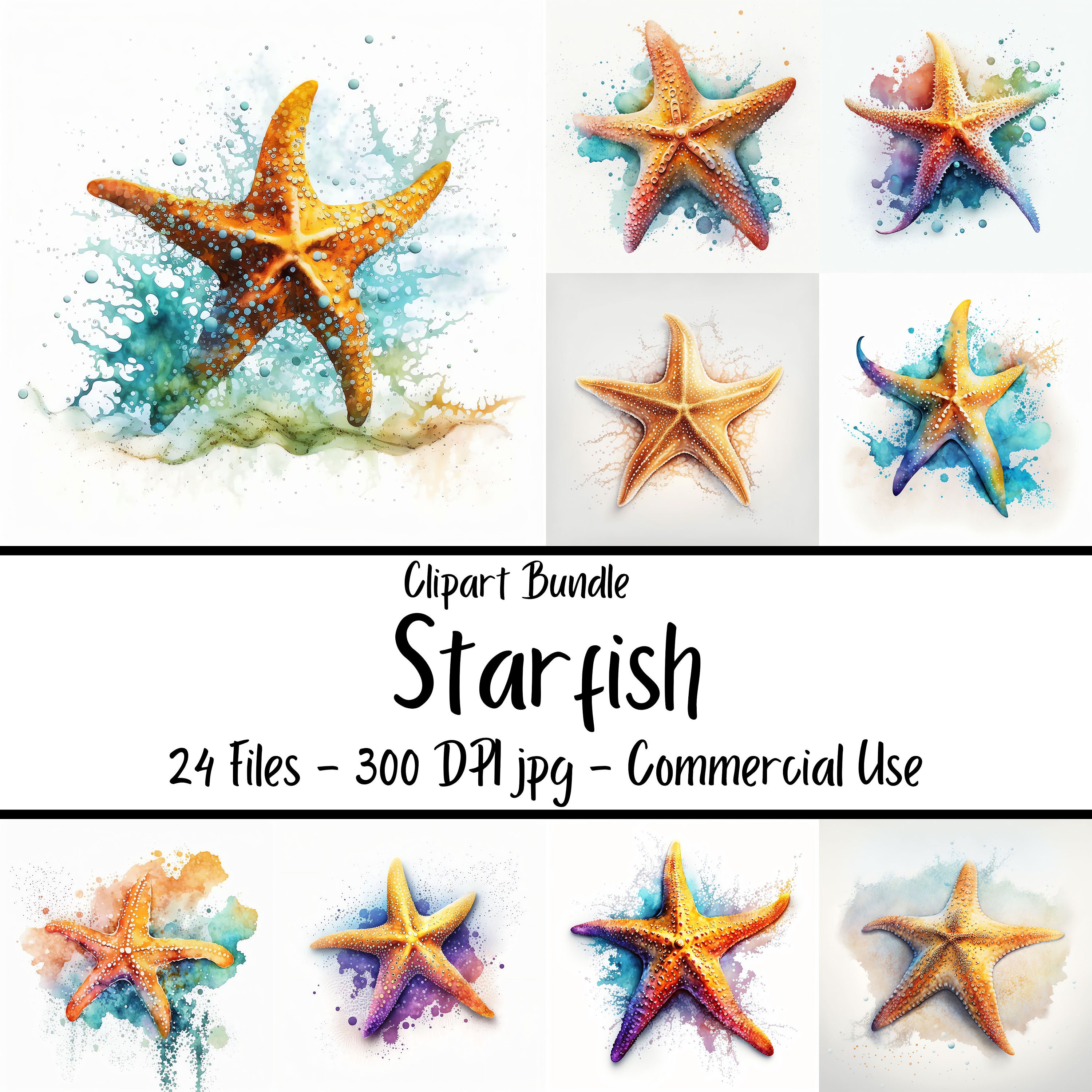 Elegant Starfish Clipart Image