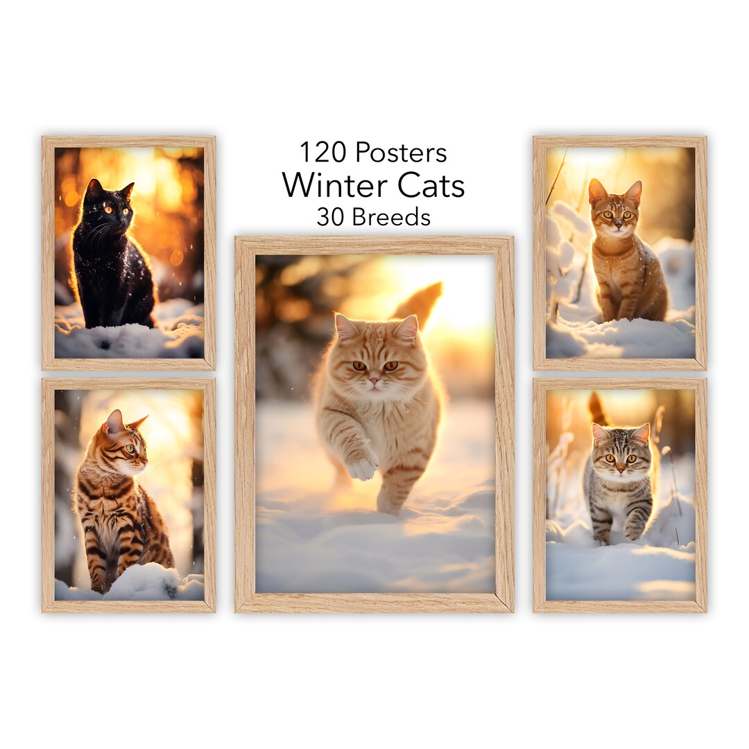 Winter Cats HQ Photography Digital Art 120 Posters, Home Art, Wall Art ...