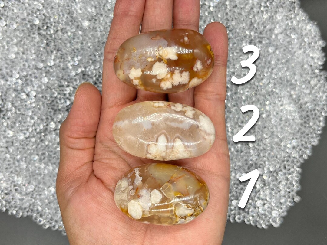 Flower Agate Palm Stone, Flower Agate, Fossil, Coral, Coral Agate - Etsy