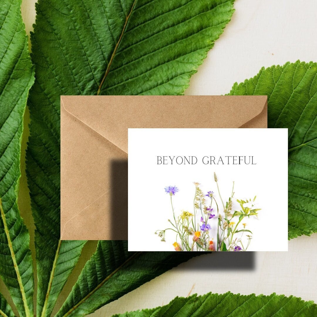 Beyond Grateful Blank Thank You Cards Wildflower SET OF 12,24,36,48 ...