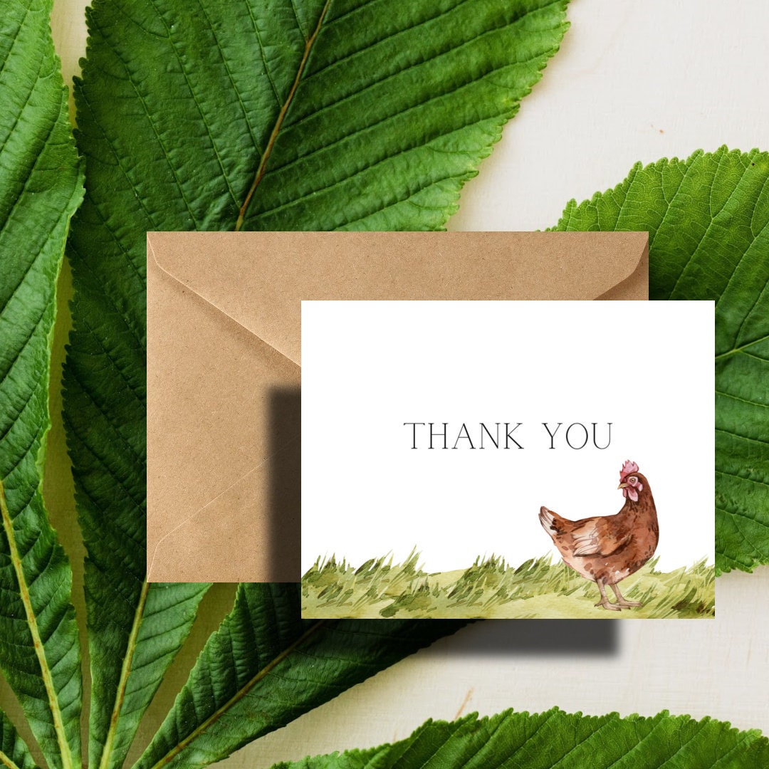 Rooster Hen Chicken Barnyard Thank You Cards Pack With Envelopes - Etsy