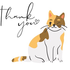 Adorable Cat Thank You Card Set, Cute Kittens Blank Note Cards With ...