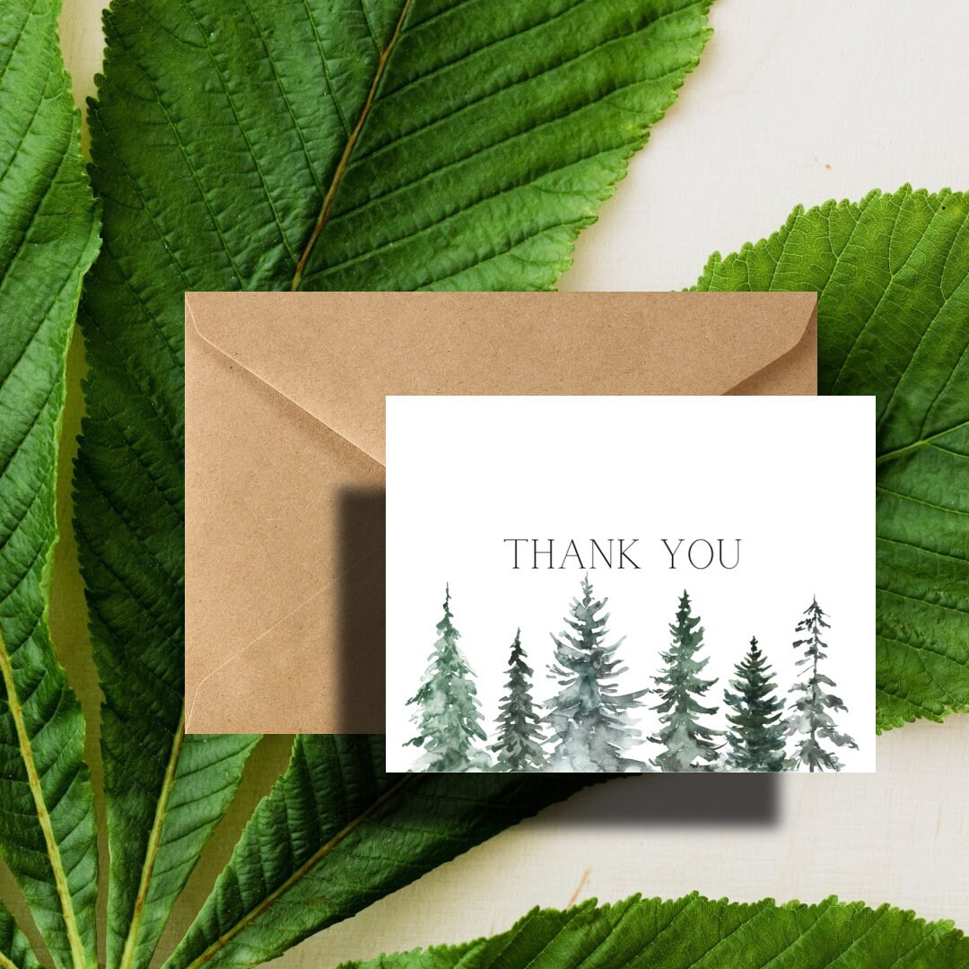 Thank You Christmas Tree Greenery Thank You Cards Pack With Kraft White ...