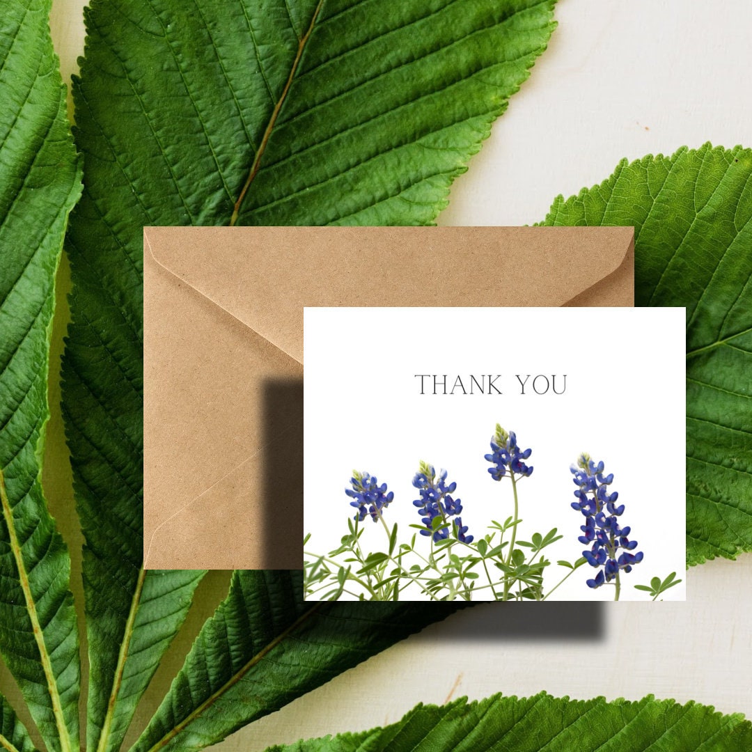 Texas Bluebonnet Thank You Cards Blank Cards SET OF 12,24,36,48 With ...