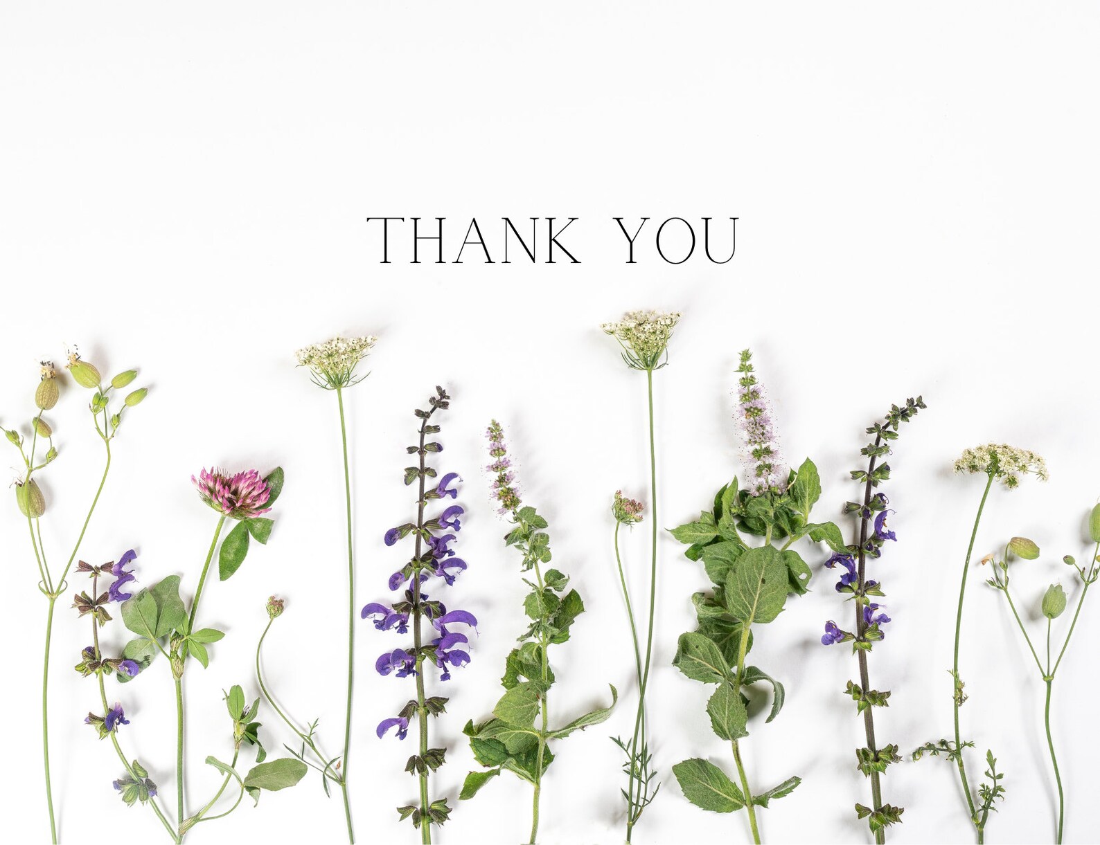 Wildflower Thank You Cards SET OF 12,24,36,48 With Envelopes - Etsy
