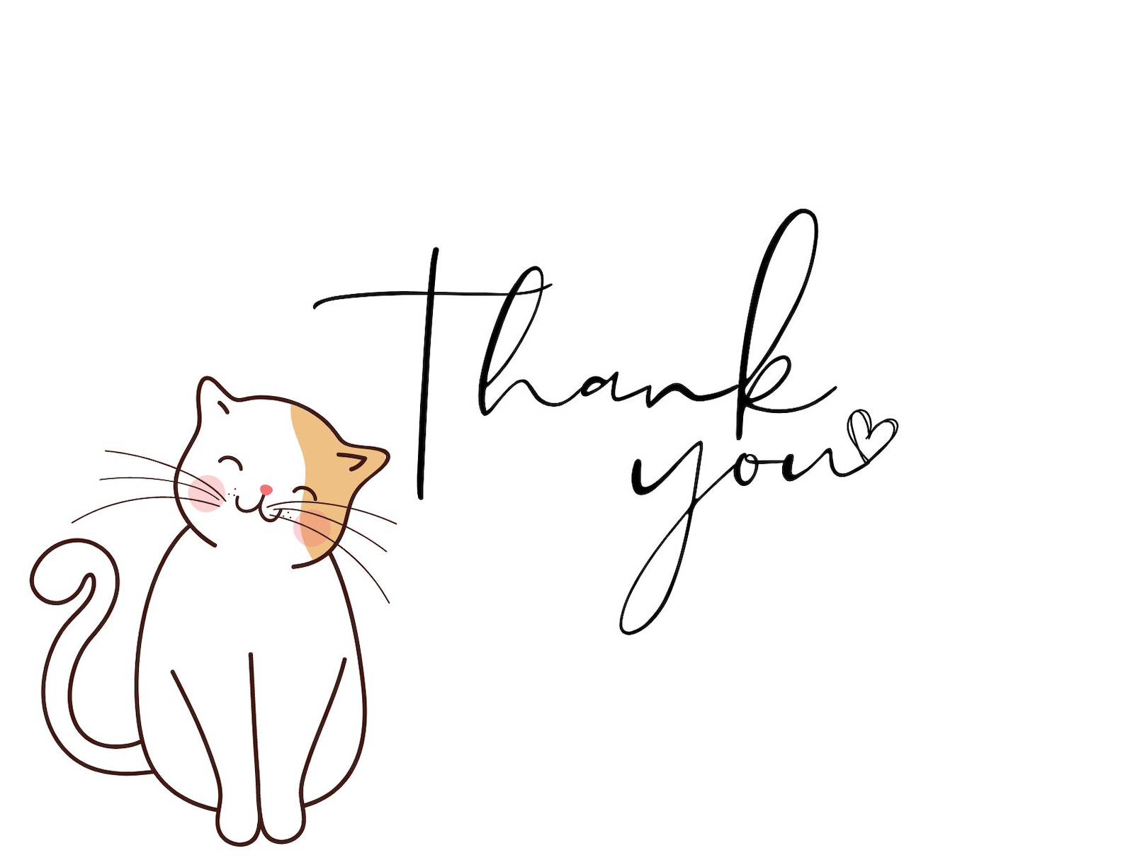 Adorable Cat Thank You Card Set, Cute Kittens Blank Note Cards With ...