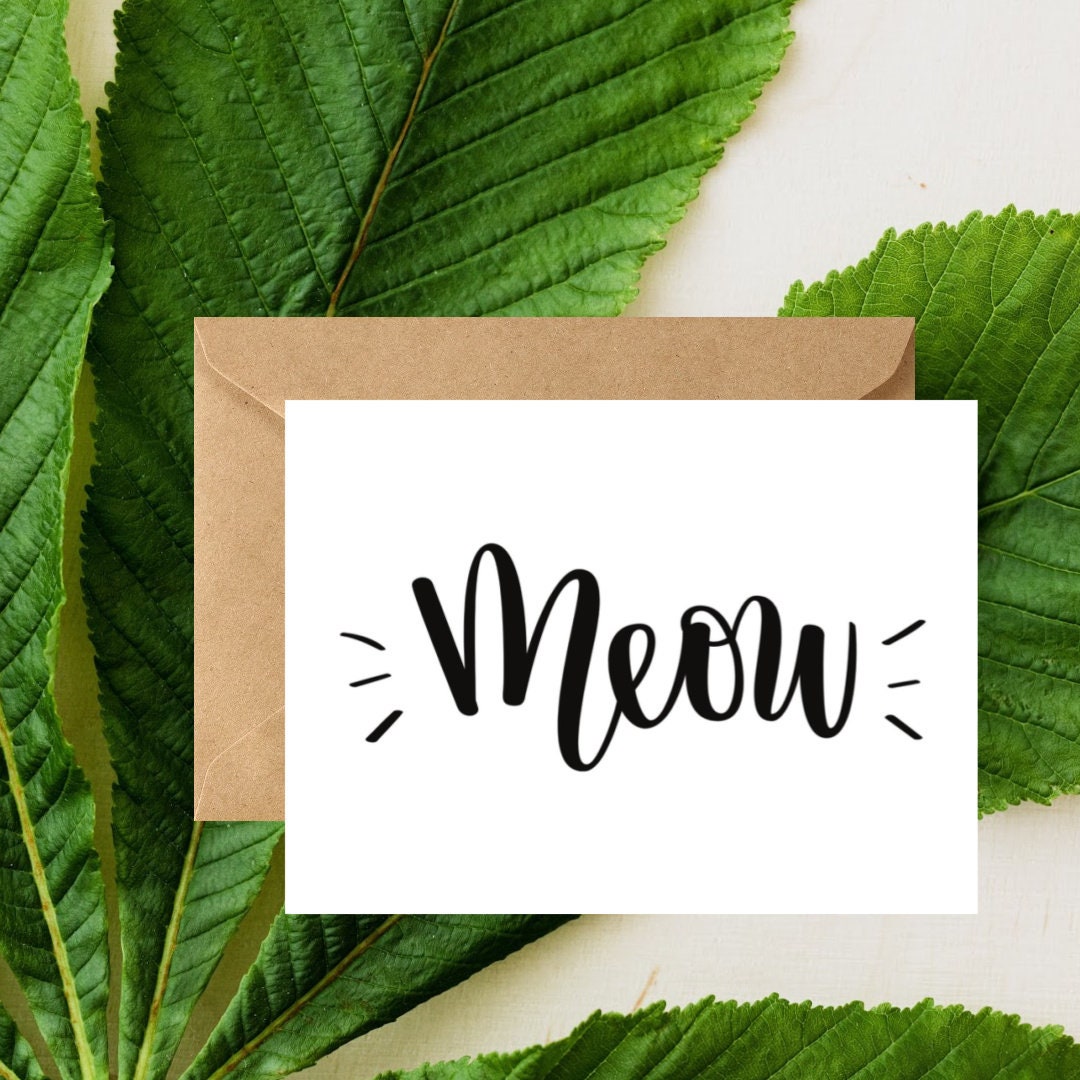 Meow Cat Greeting Card Set, Blank Note Cards With Envelopes - Etsy