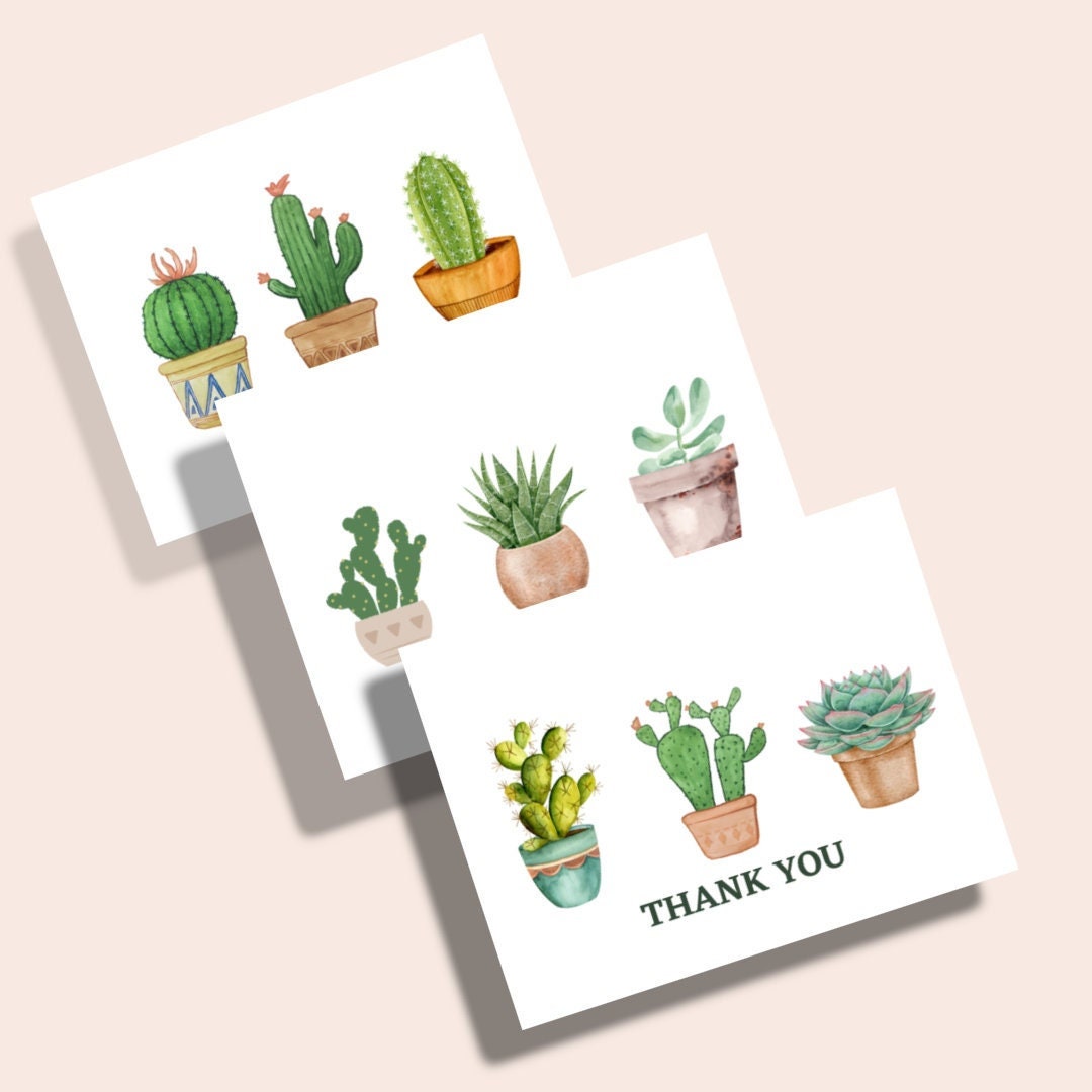 Succulent Thank You Card Set | All-occasion Assorted Thank You Note ...