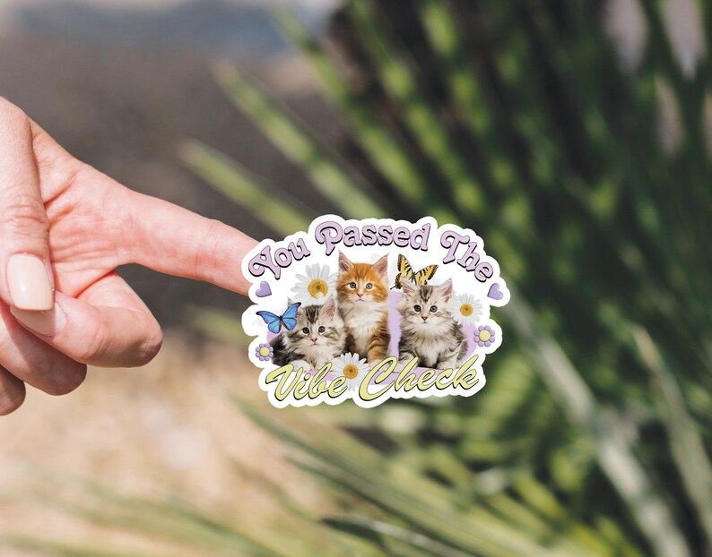 Y2K Aesthetic PNG Vibe Check Png You Passed the Vibe Check - Etsy