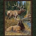 LAZY AFTERNOON Elk Fabric Quilt Panel by Springs Creative, 36" X 45 ...