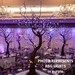 7' Cherry Blossom LED Tree - Etsy
