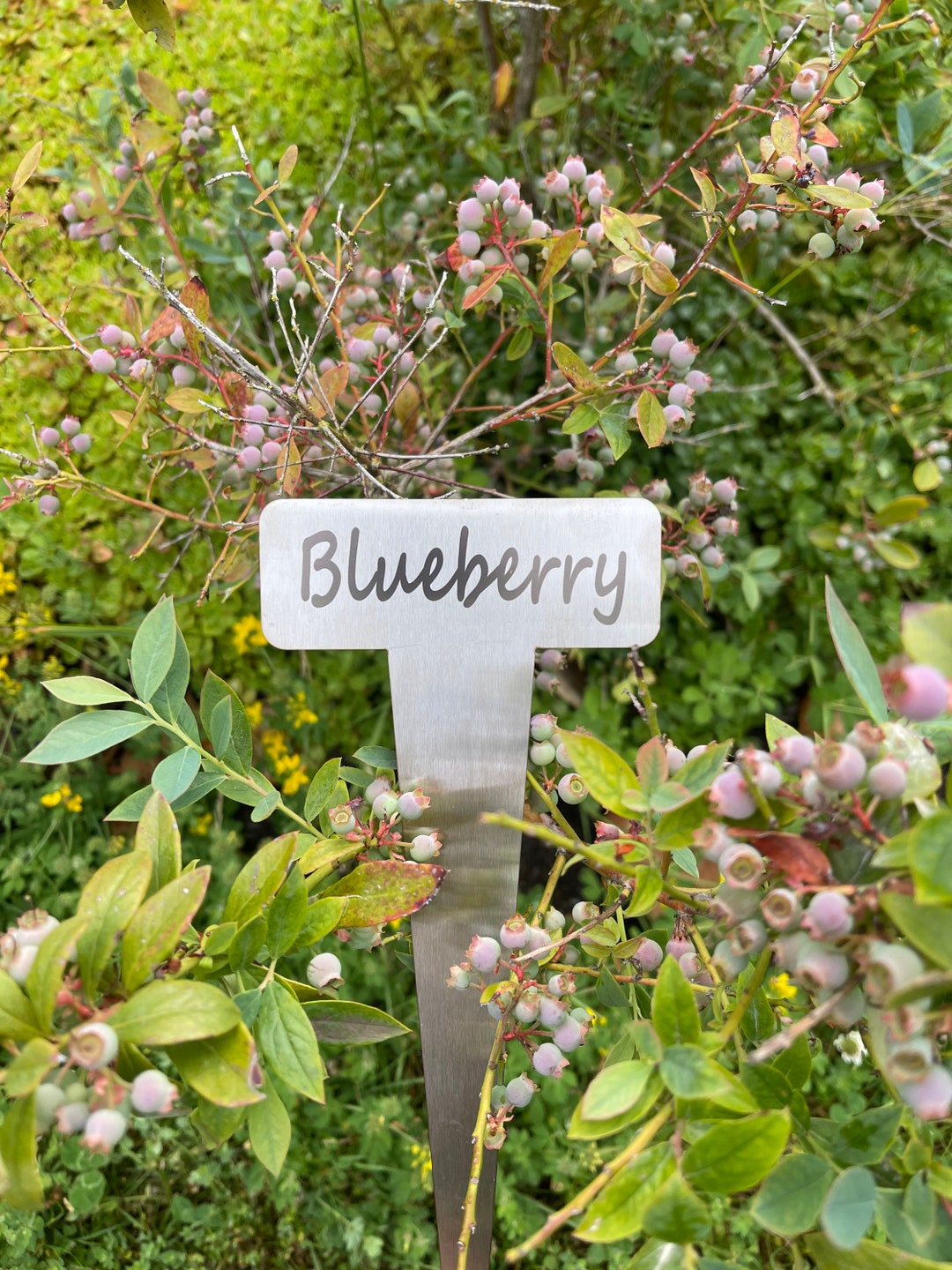 Garden Markers| Personalized Metal Garden Marker | Yard Tag ...