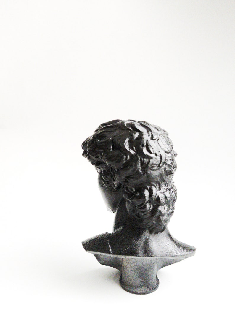 3D Printed David Skull Bust, Michelangelo's Statue of David, Ancient ...