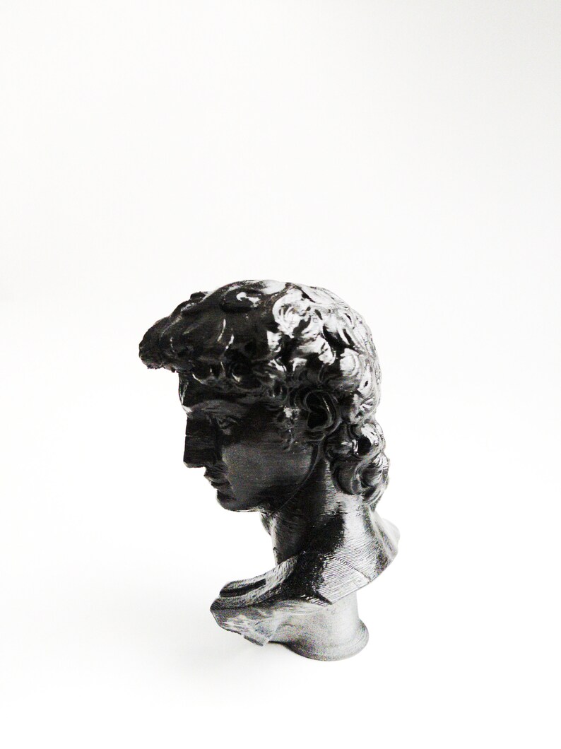 3D Printed David Skull Bust, Michelangelo's Statue of David, Ancient ...
