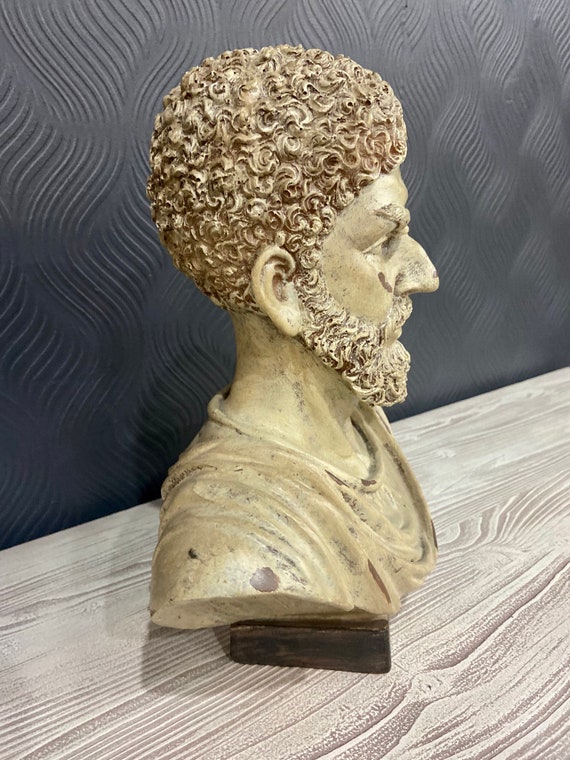 Brutus Statue From Julius Caesar