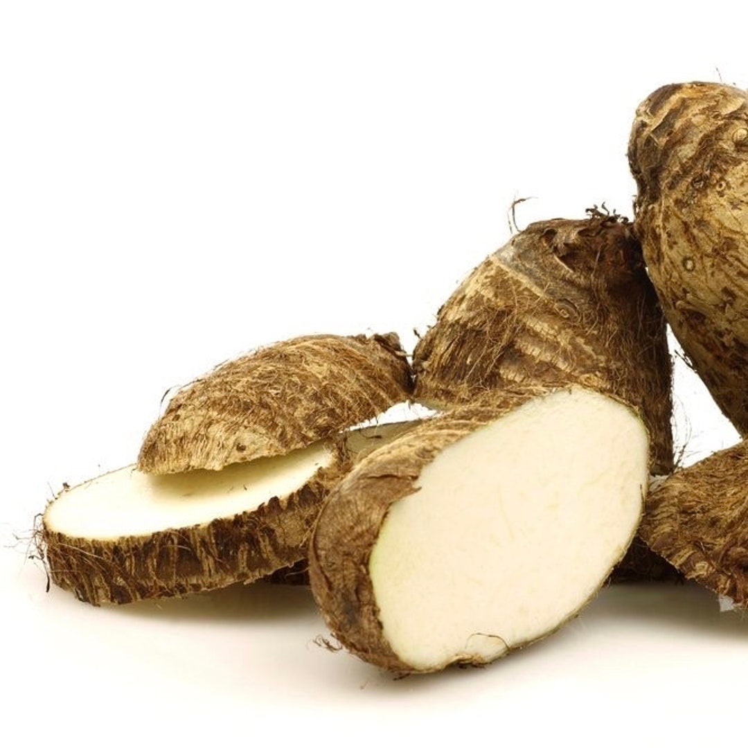 Lesser Yam Yam dioscorea Esculenta Live Plant 1224 - Etsy