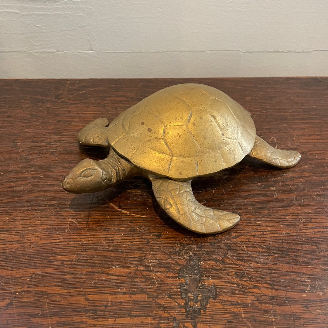 Brass Sea Turtle Dish - Removable Shell - Etsy
