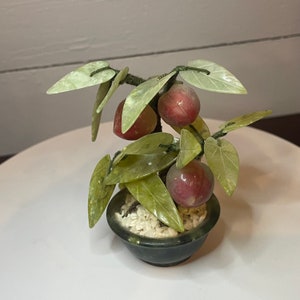 Jade Bonsai Tree - Etsy