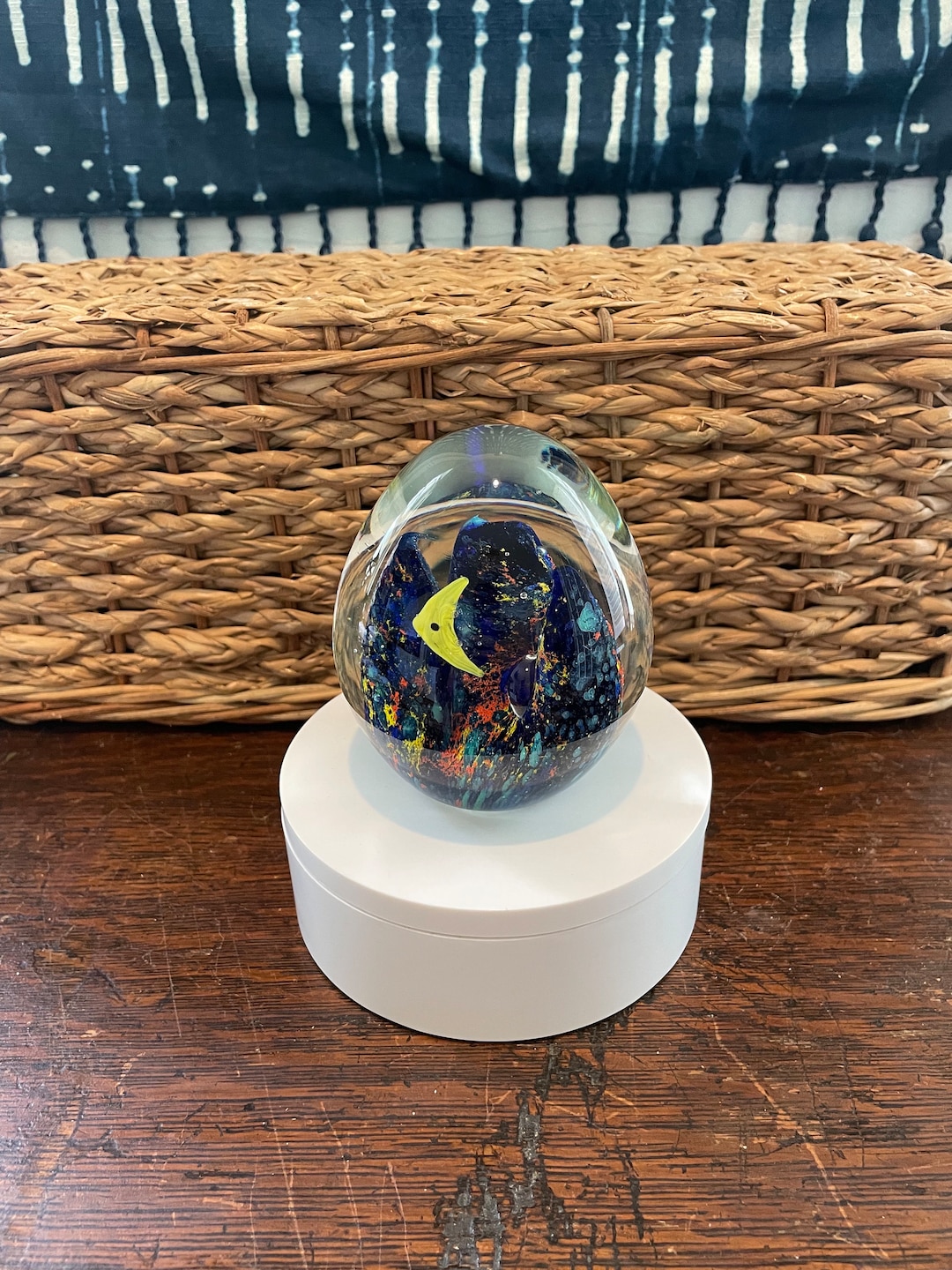 Art Glass Egg - Aquarium or Coral Reef - Etsy