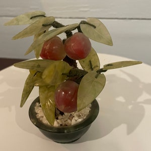 Jade Bonsai Tree - Etsy