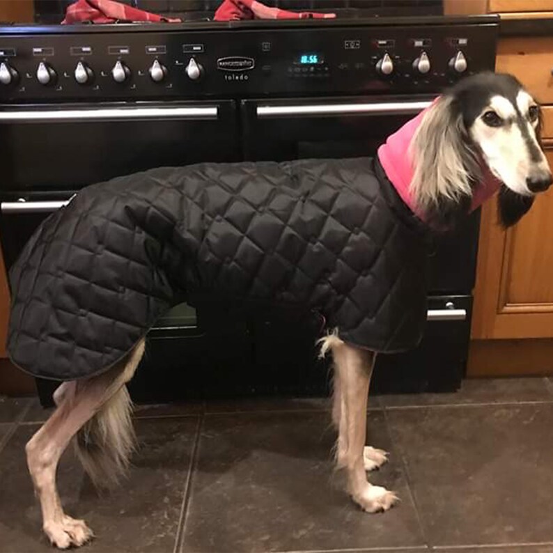 Sighthound Raincoat - Etsy UK