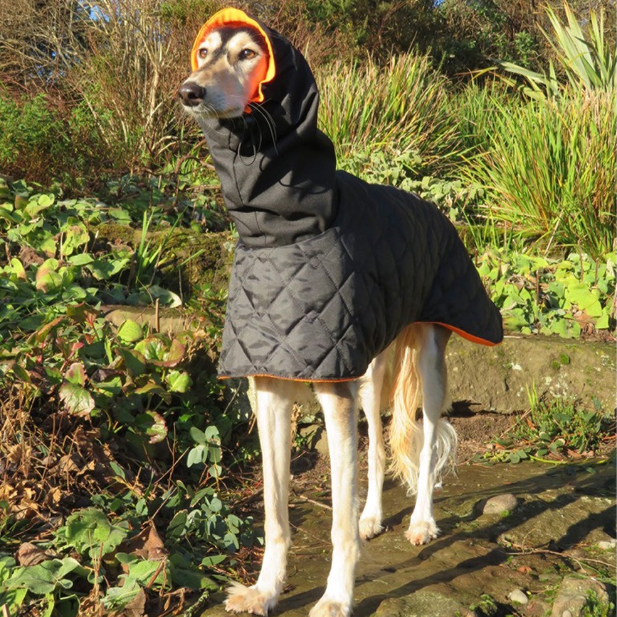 Sighthound Raincoat - Etsy UK